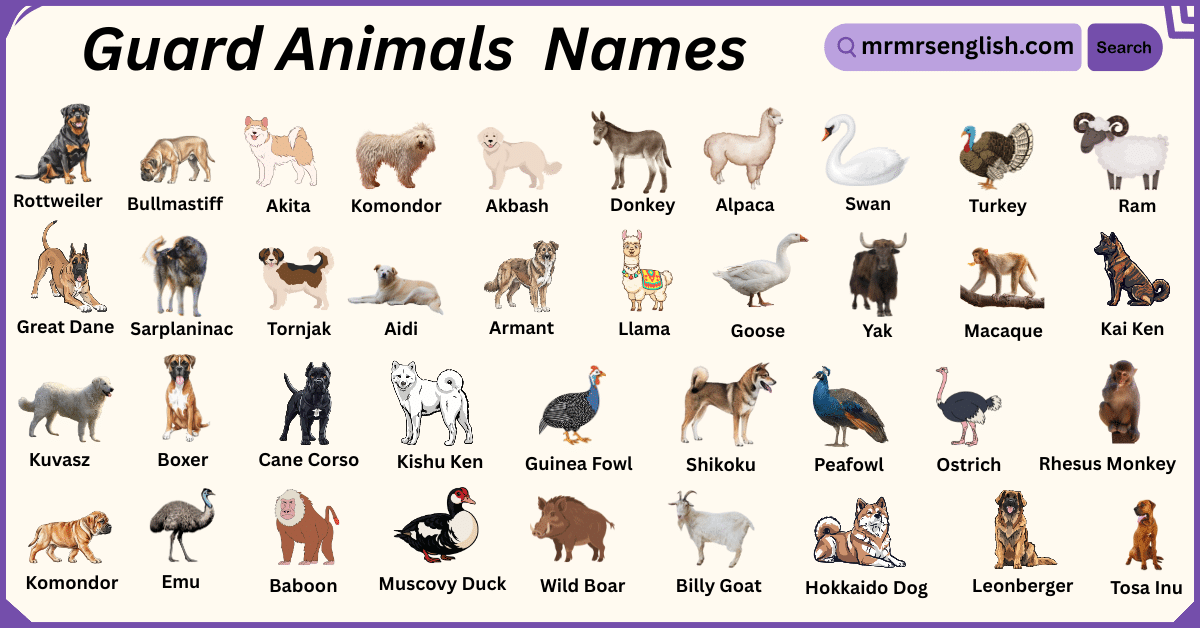 Guard Animals Names in English with Their Pictures - MR MRS ENGLISH