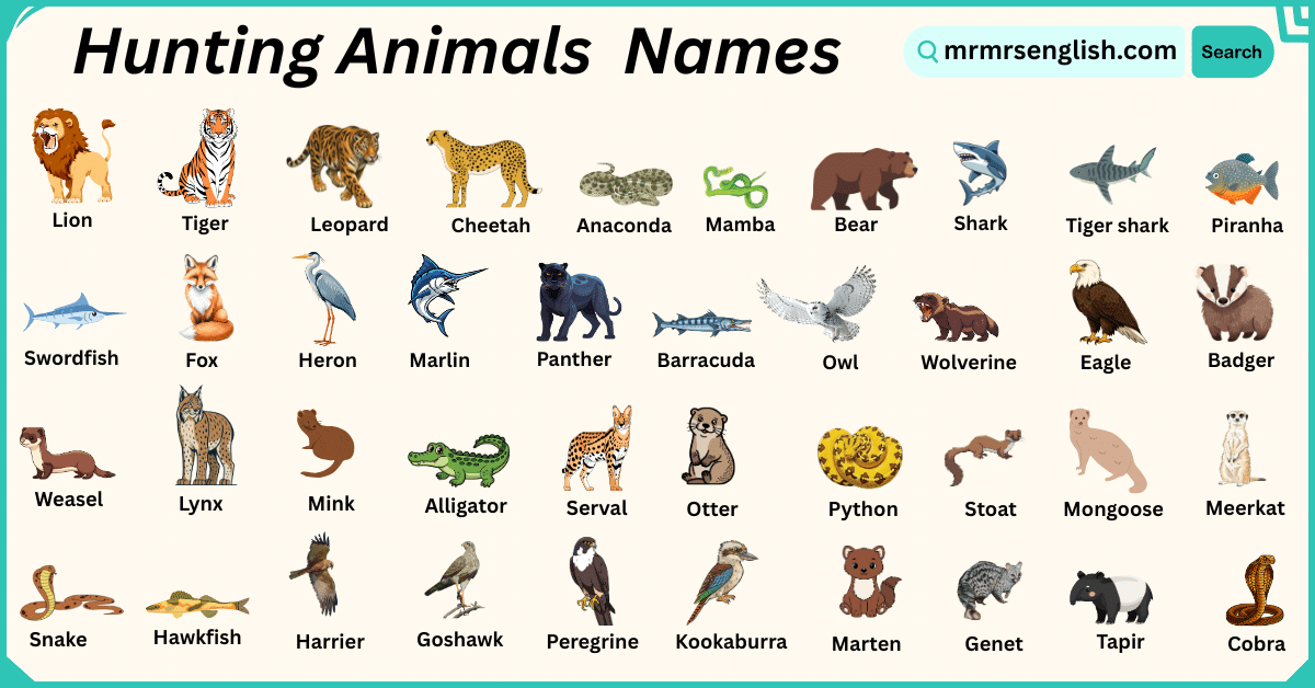 Hunting Animals Names in English with Their Pictures - MR MRS ENGLISH