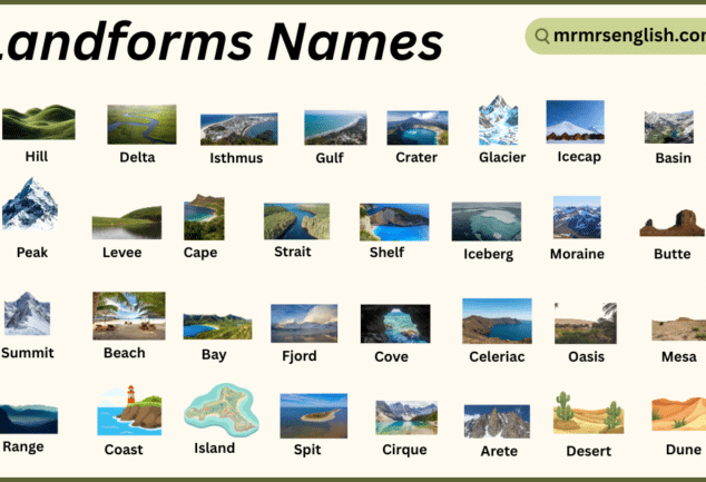 Animals Foods Names in English with Their Pictures - MR MRS ENGLISH