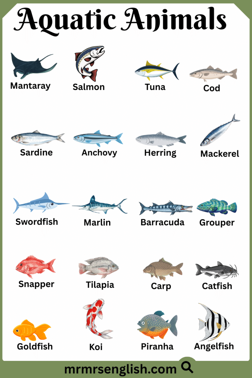 Aquatic Animals Names in English with Their Pictures - MR MRS ENGLISH