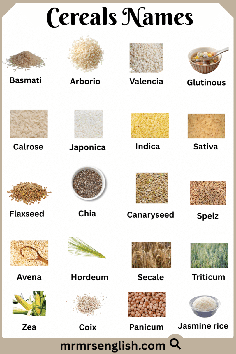 Cereals Names in English with Their Pictures - MR MRS ENGLISH
