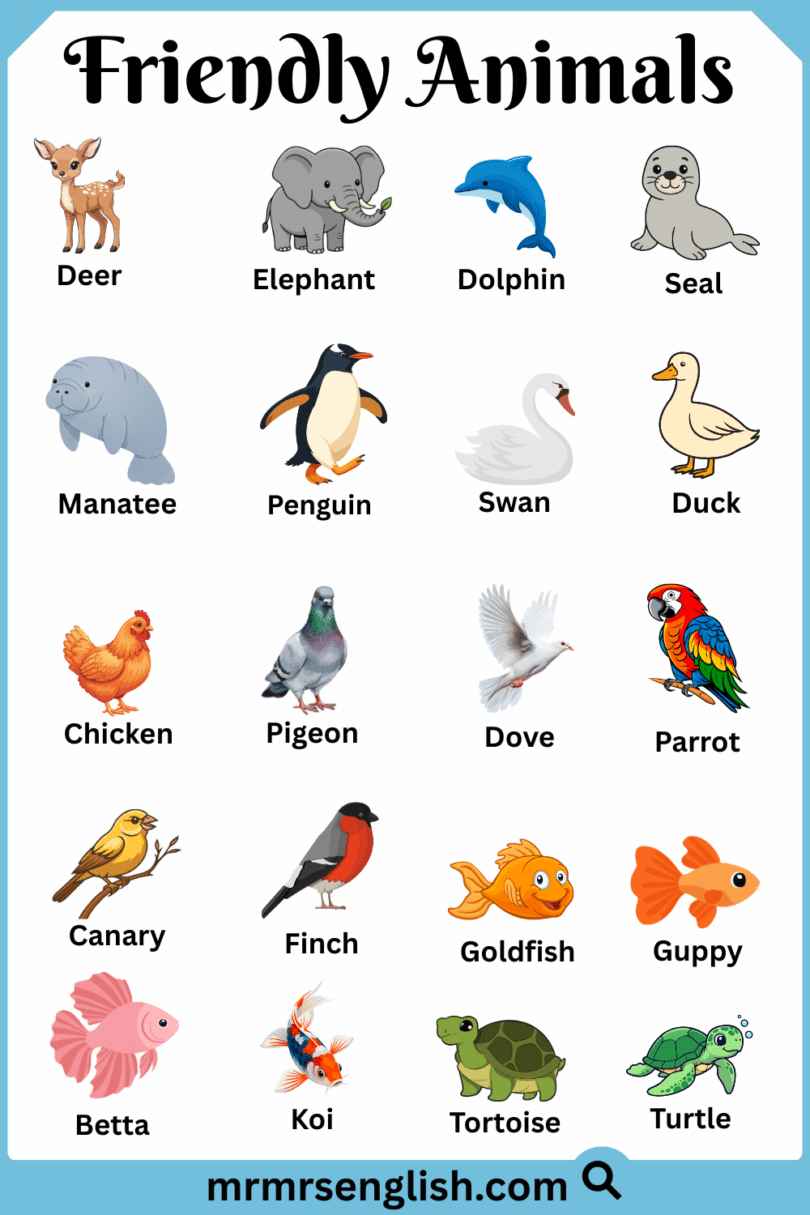 Friendly Animals Names in English with Their Pictures - MR MRS ENGLISH