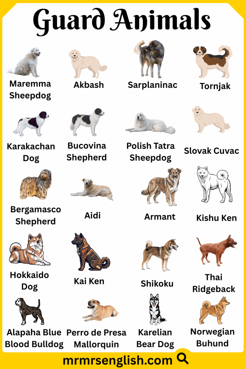 Guard Animals Names in English with Their Pictures - MR MRS ENGLISH