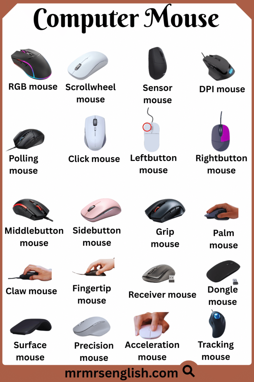 Different Types of Computer Mouse Names with Pictures - MR MRS ENGLISH