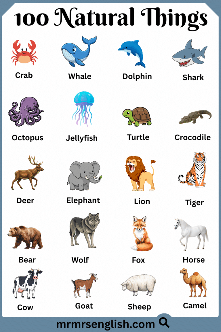 100 Natural Things Names in English with Their Pictures - MR MRS ENGLISH