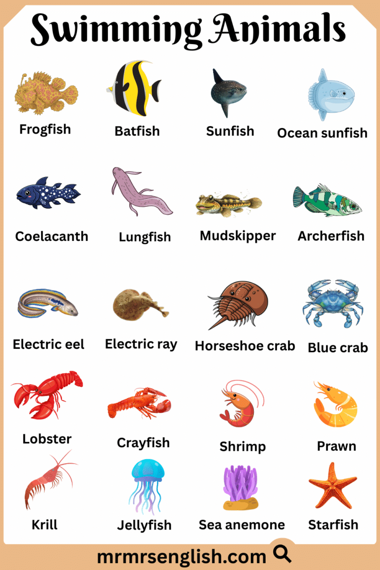 Swimming Animals Names in English with Their Pictures - MR MRS ENGLISH