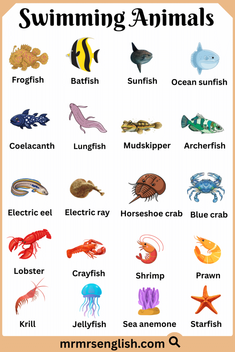 Swimming Animals Names in English with Their Pictures - MR MRS ENGLISH