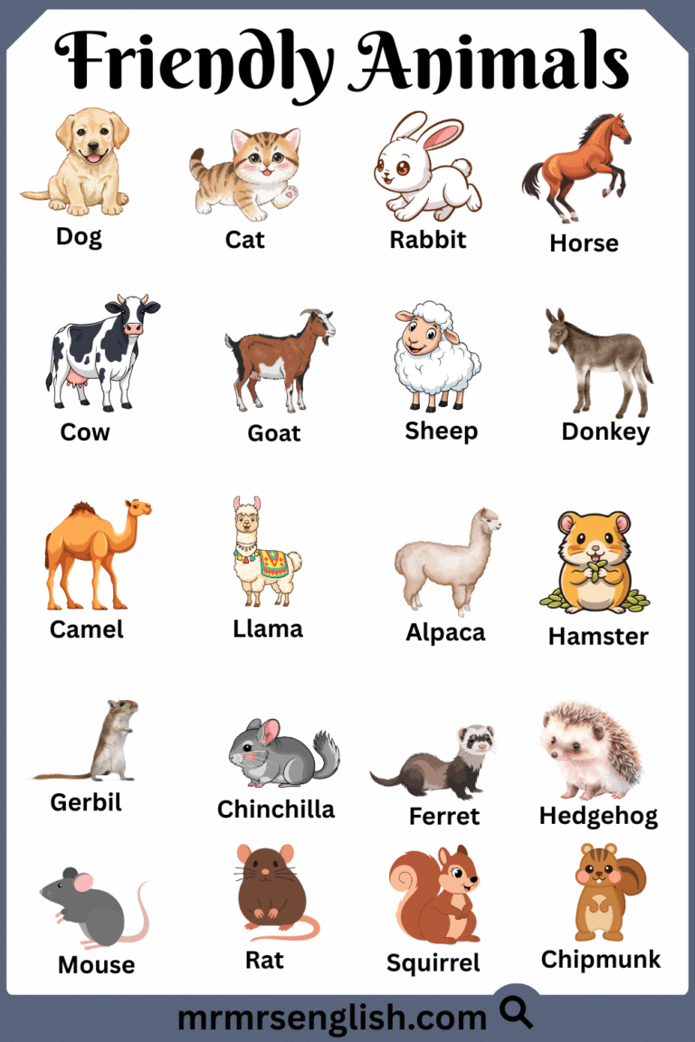Friendly Animals Names in English with Their Pictures - MR MRS ENGLISH