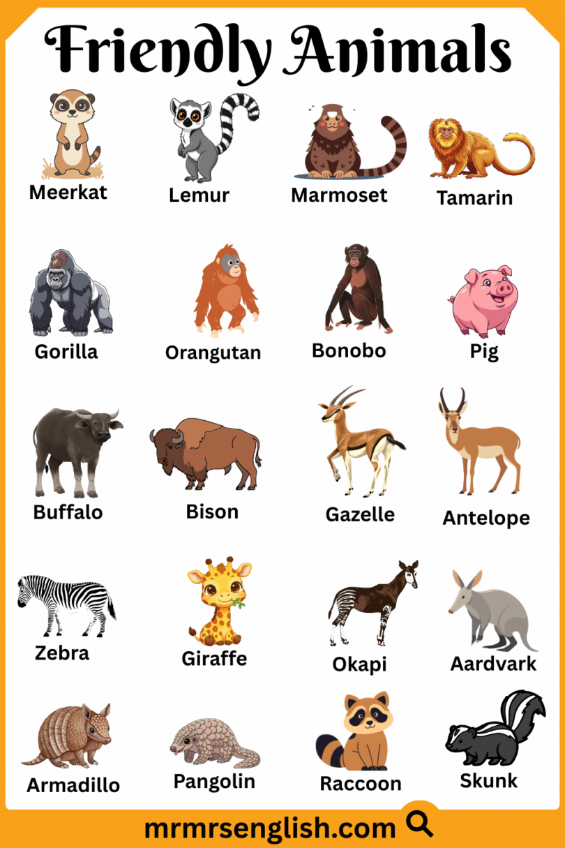 Friendly Animals Names in English with Their Pictures - MR MRS ENGLISH