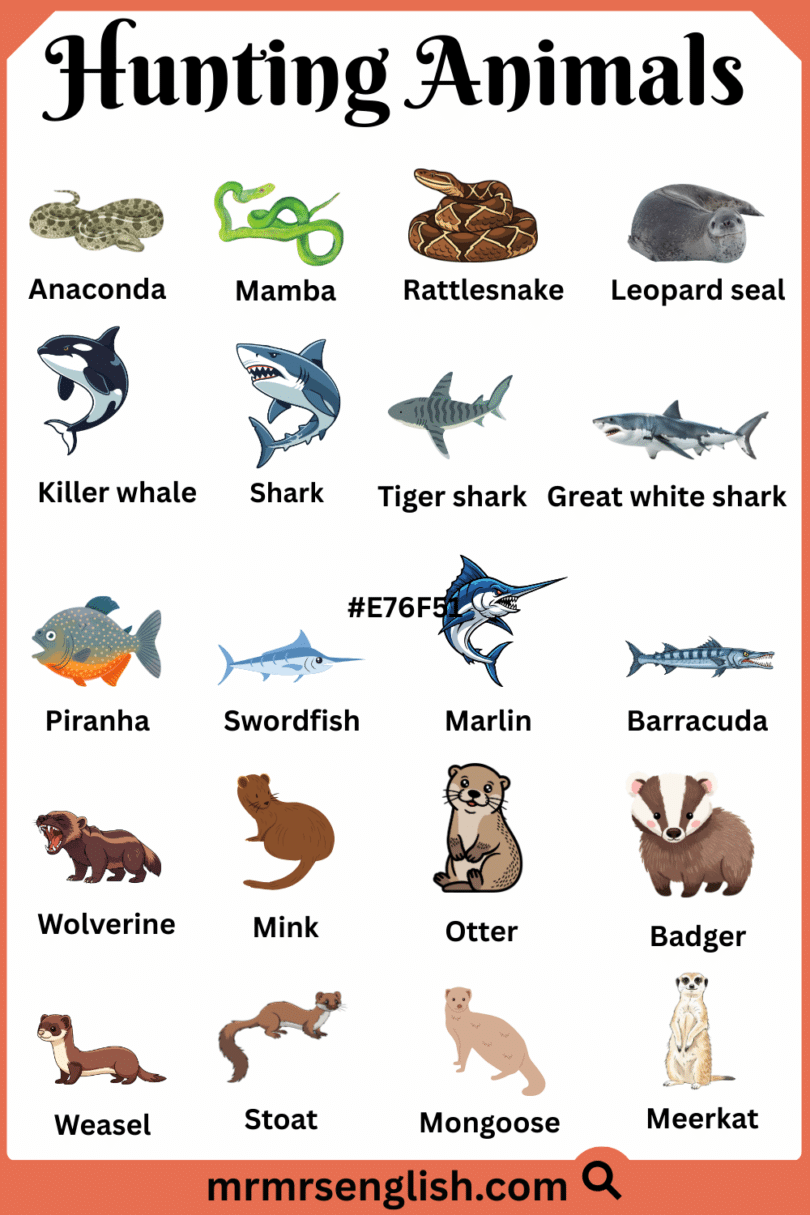 Hunting Animals Names in English with Their Pictures - MR MRS ENGLISH