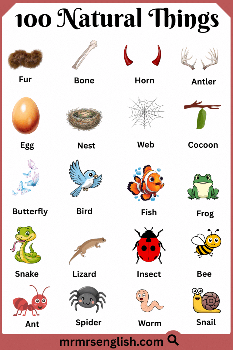 100 Natural Things Names in English with Their Pictures - MR MRS ENGLISH