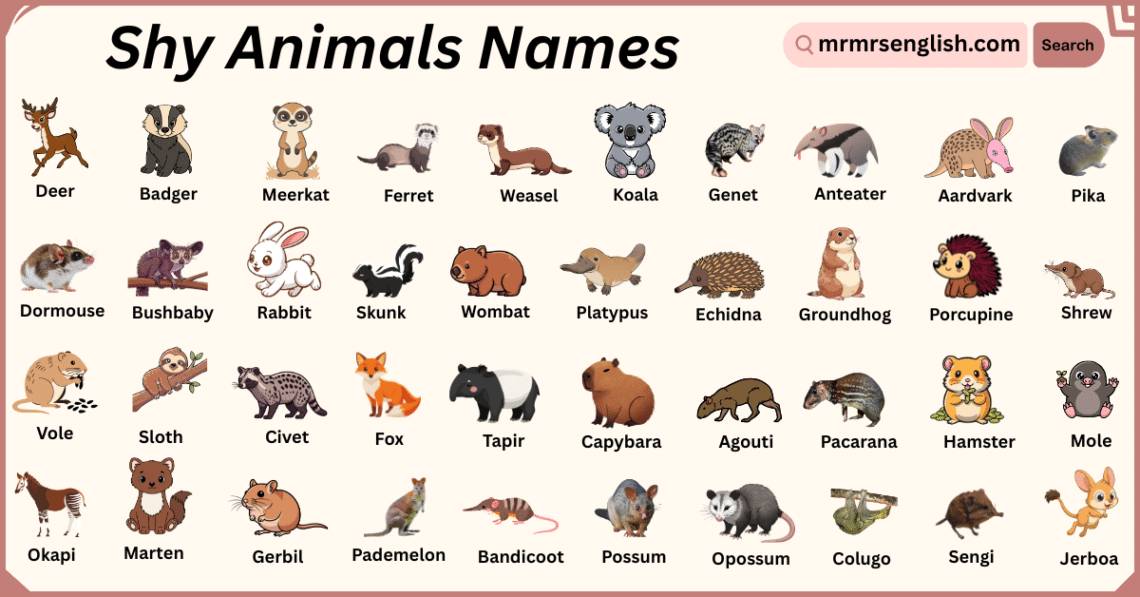 Shy Animals Names in English with Their Pictures - MR MRS ENGLISH