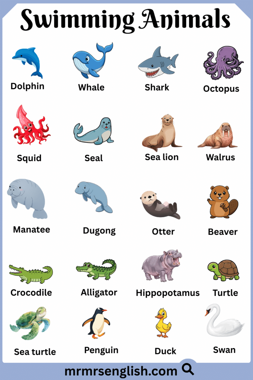 Swimming Animals Names in English with Their Pictures - MR MRS ENGLISH