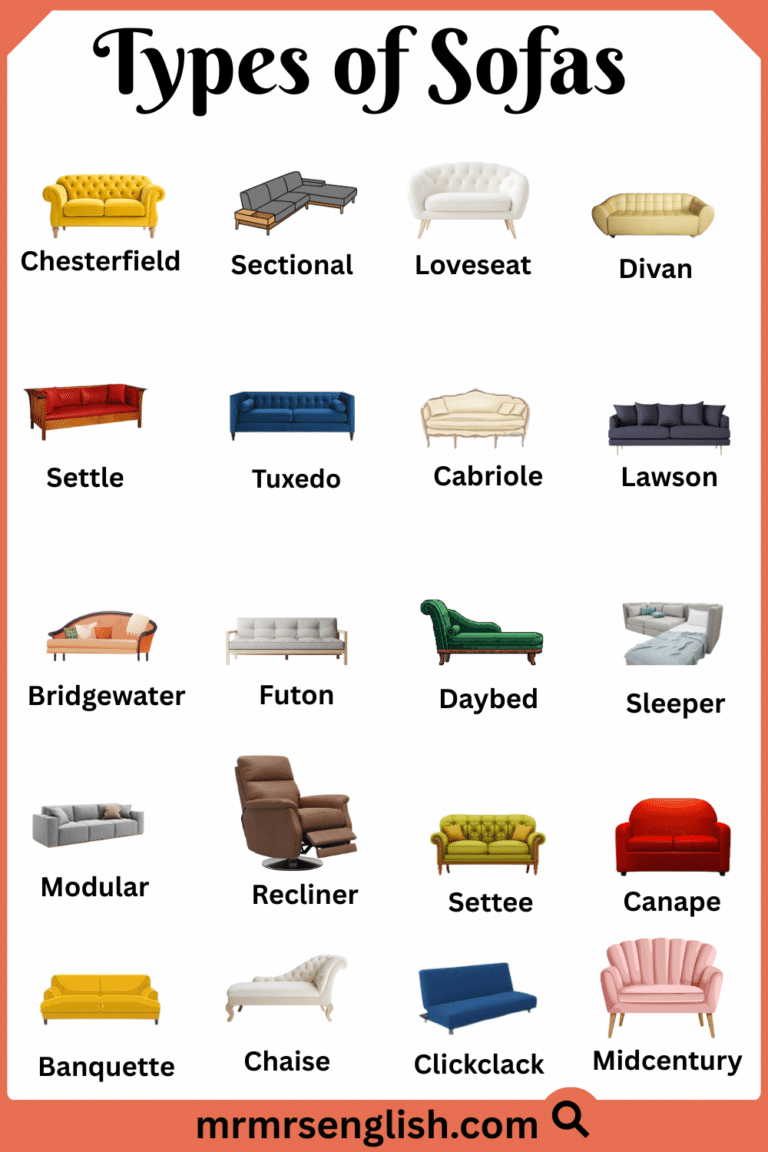 Types of Sofas Names in English with Their Pictures - MR MRS ENGLISH