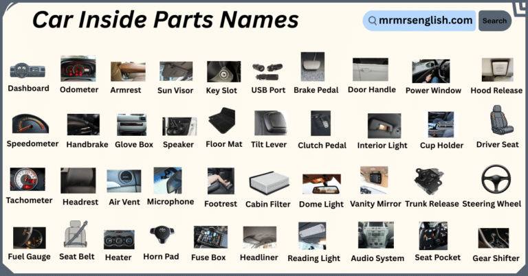 Car Inside Parts Names in English with Their Pictures - MR MRS ENGLISH
