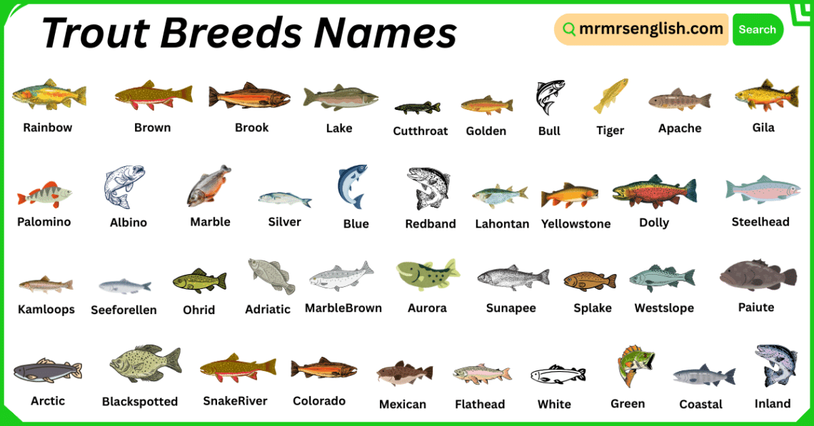Trout Breeds Names in English with Their Pictures - MR MRS ENGLISH
