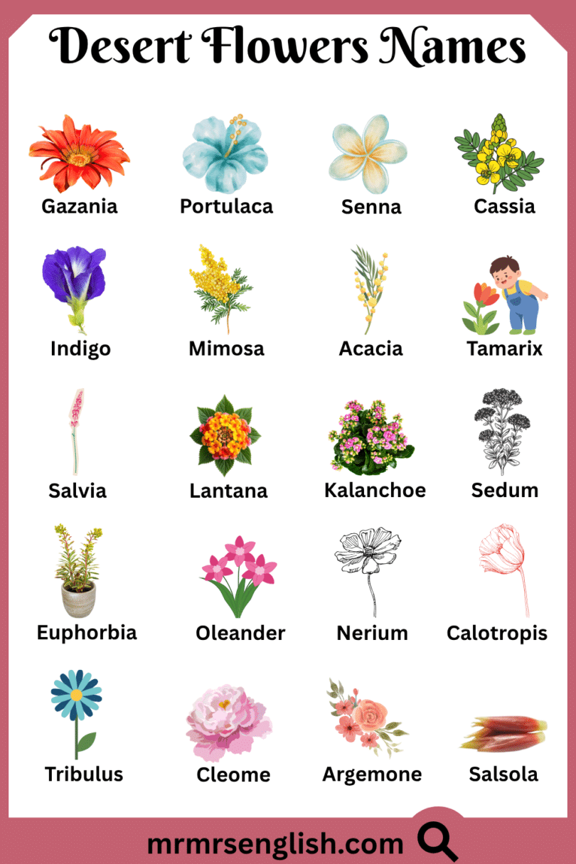 Desert Flowers Names in English with Their Pictures - MR MRS ENGLISH