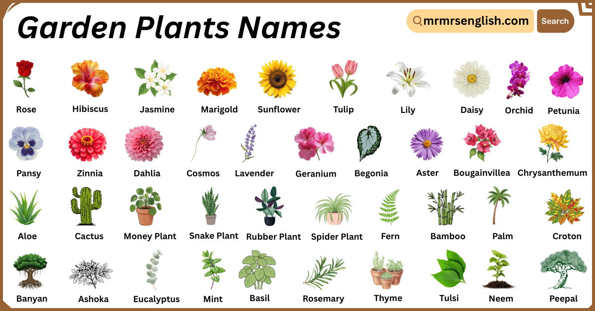 Garden Plants Names in English with Their Pictures - MR MRS ENGLISH