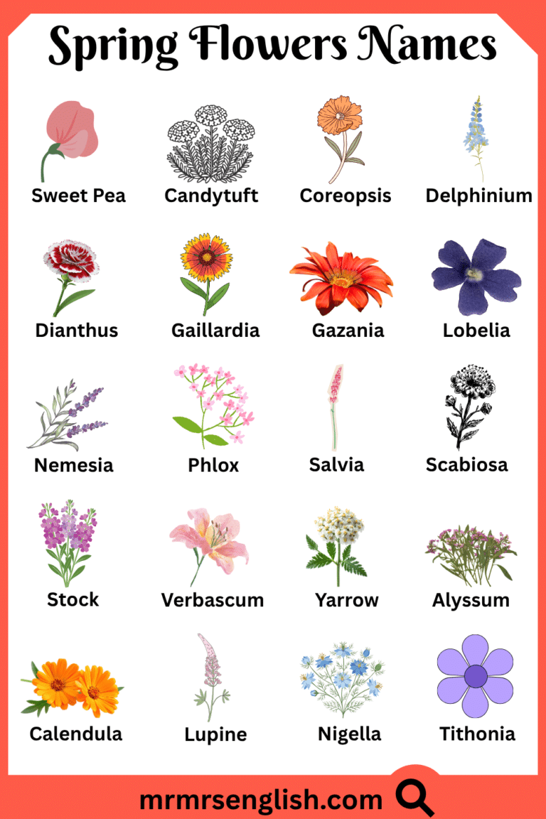 Spring Flowers Names in English with Their Pictures - MR MRS ENGLISH