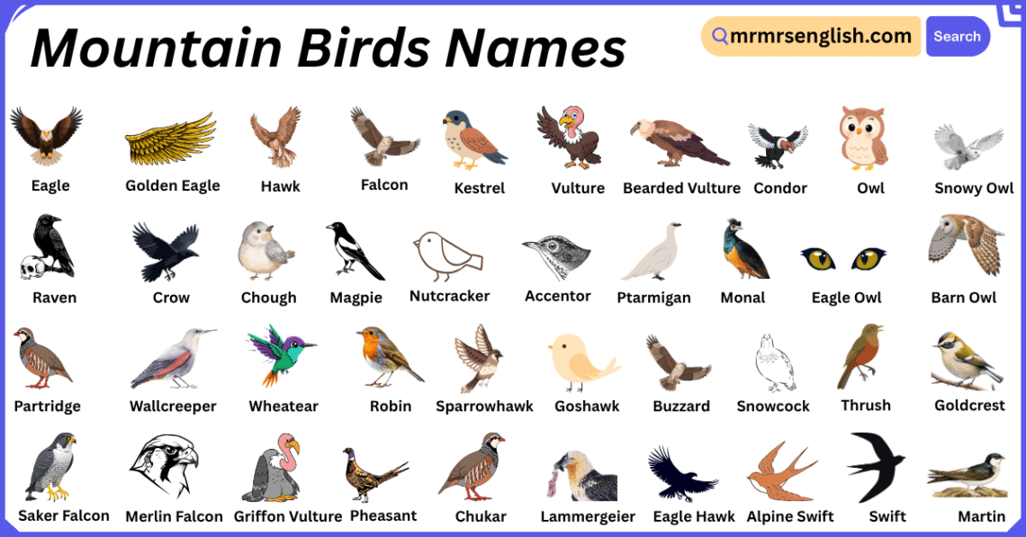 Mountain Birds Names in English with Their Pictures - MR MRS ENGLISH